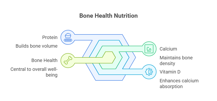 Mild Osteoporosis in Women Aged 40–49: A Comprehensive Guide to Bone Health